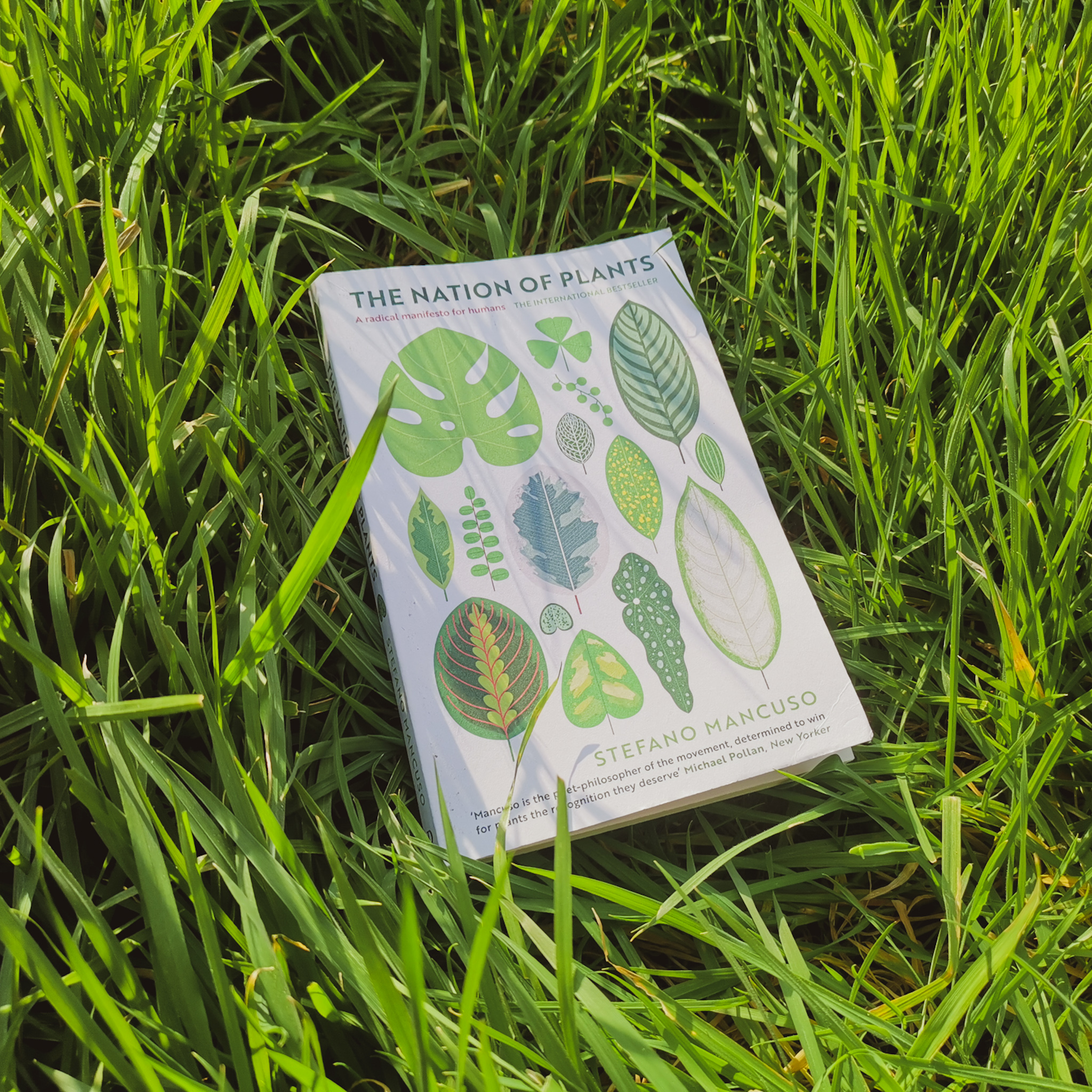 The Nation Of Plants – Stefano Mancuso | One Of The More Original Books About Environmental ...